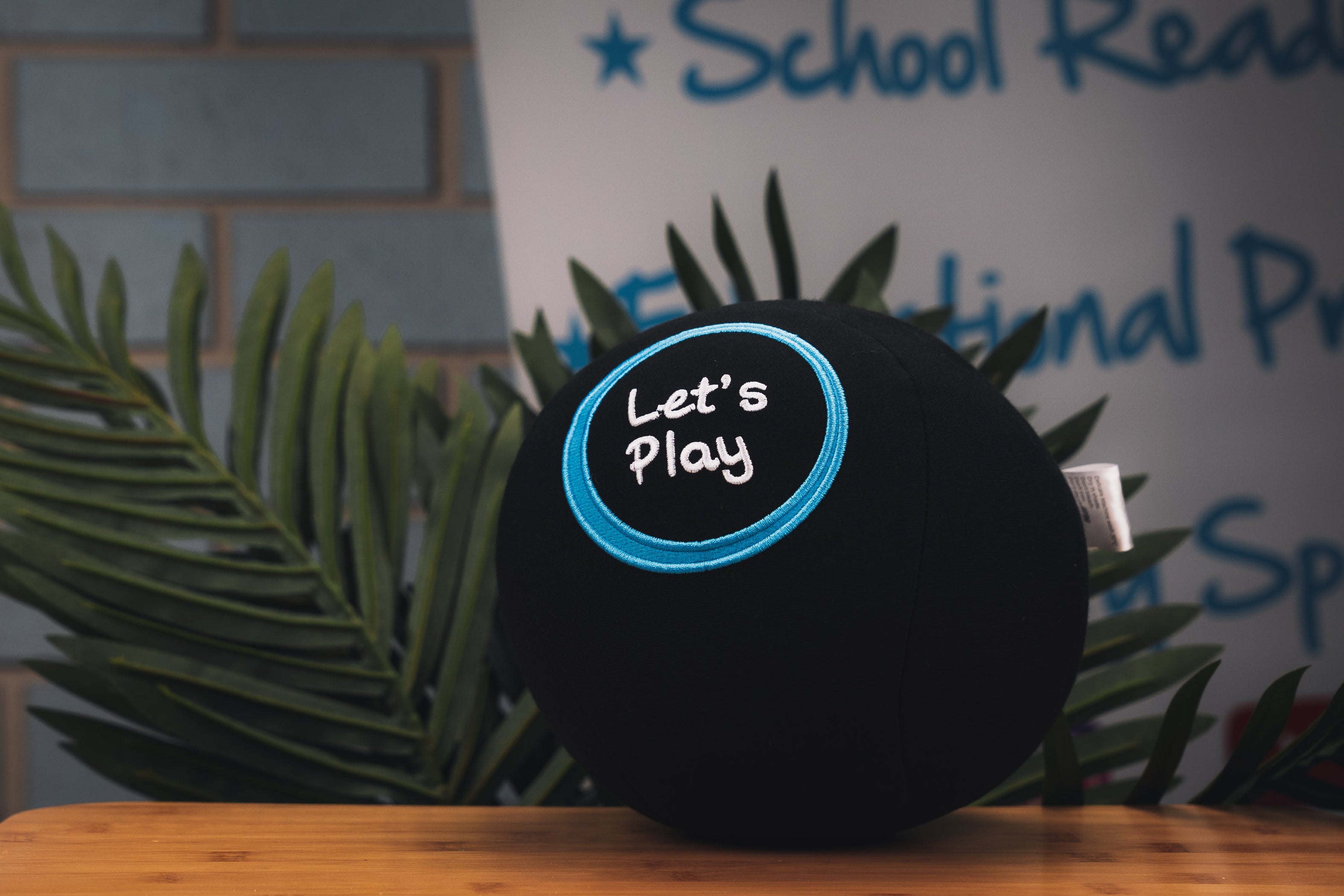 Throw n Play Sensory Ball — Sensory Ready Store